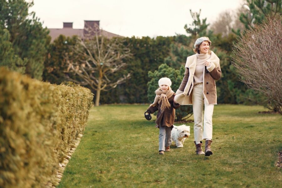 Cultivating the Perfect Soil Base for Your Hedge – Acces Independant